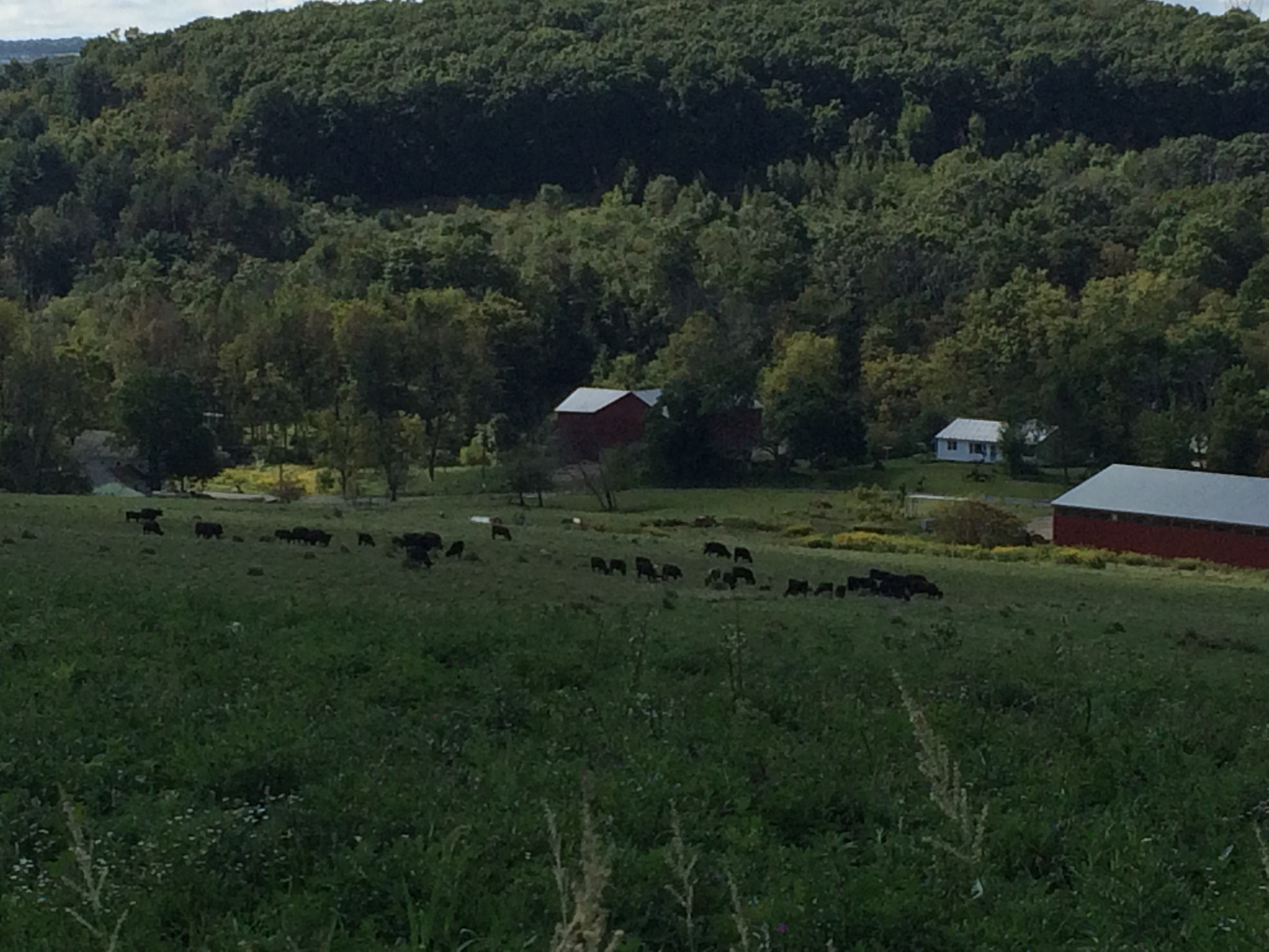 farm notes – Square Knot Farm